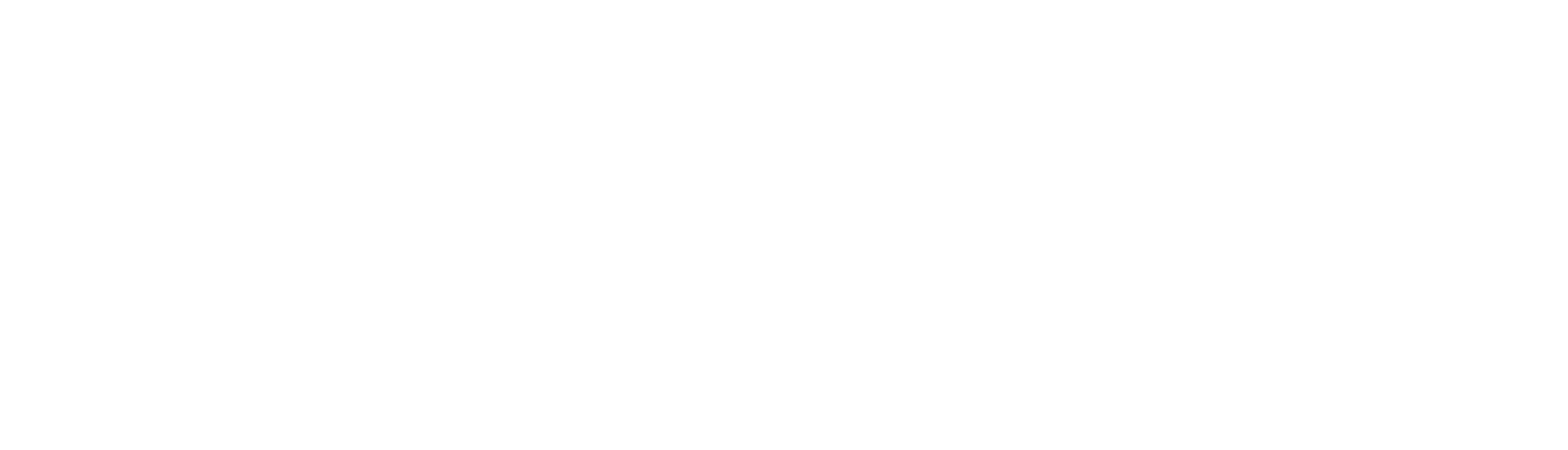 Inicio - Master Service Group